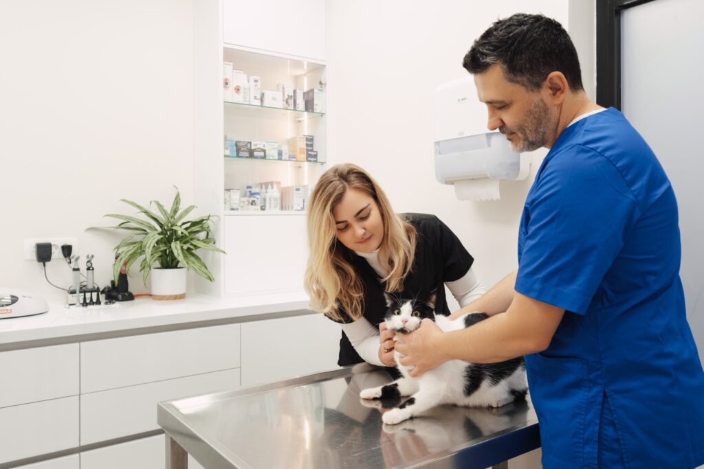 Veterinarska klinika Buba i veterinarska ambulanta Buba